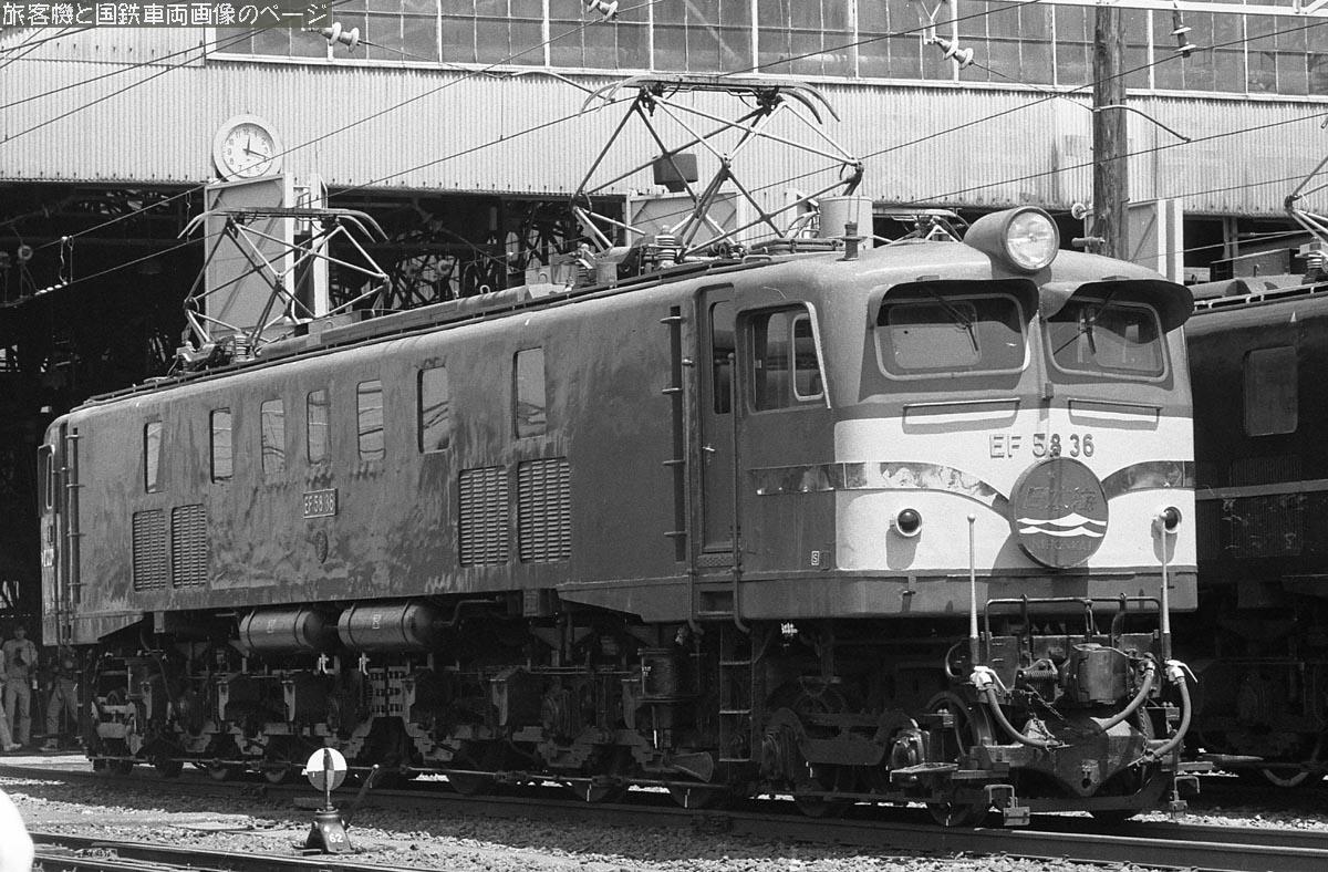 EF58 36 の画像です